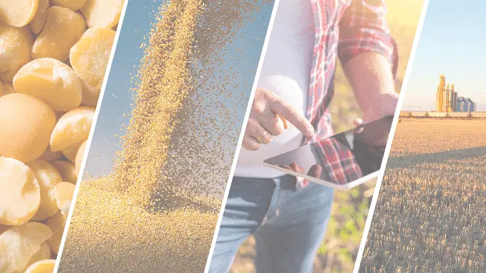 My Grain Exchange: Grain Marketing Simplified